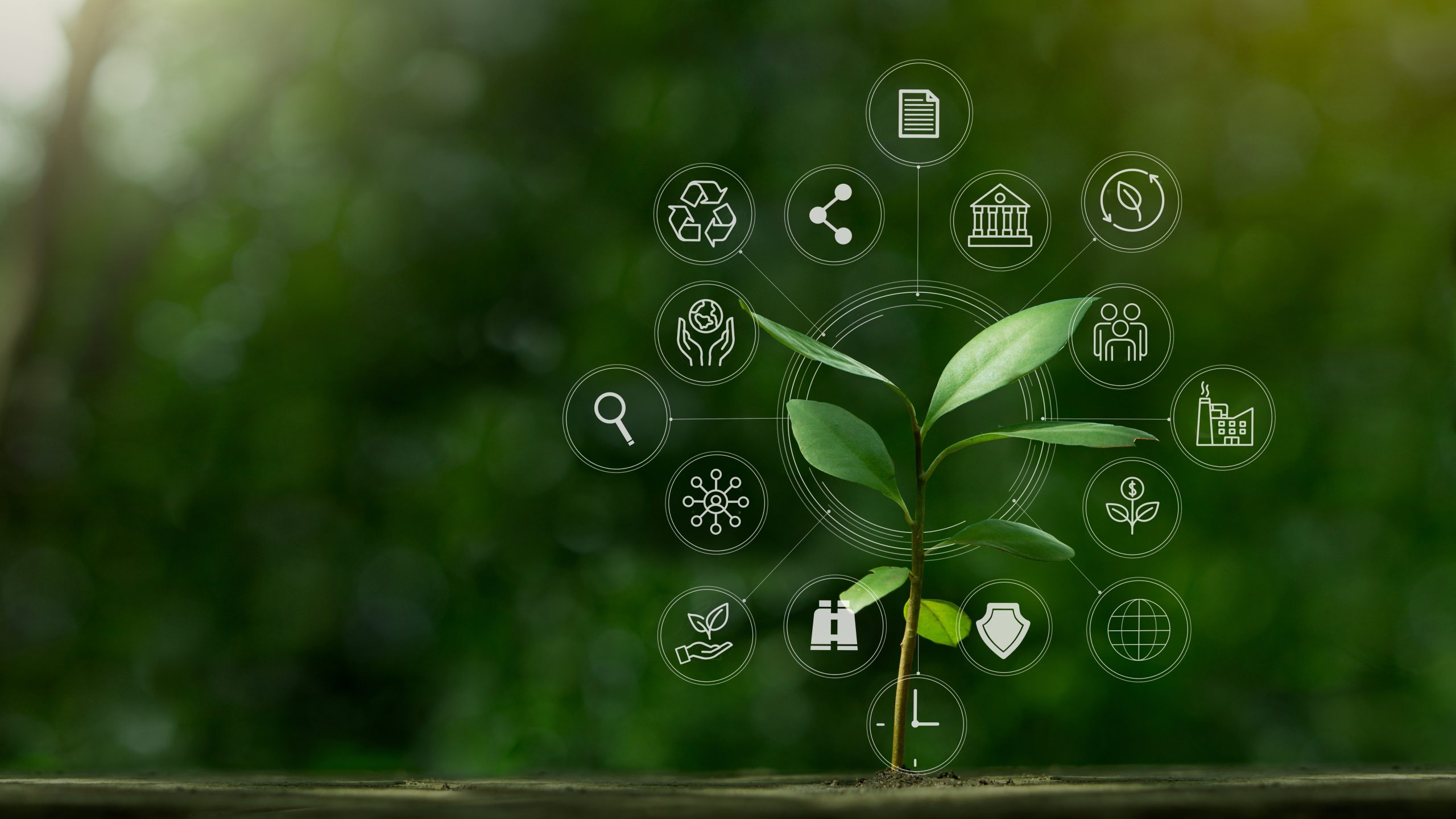 Eco-Friendly Lighting Manufacturing | DISTRON Leads the Way